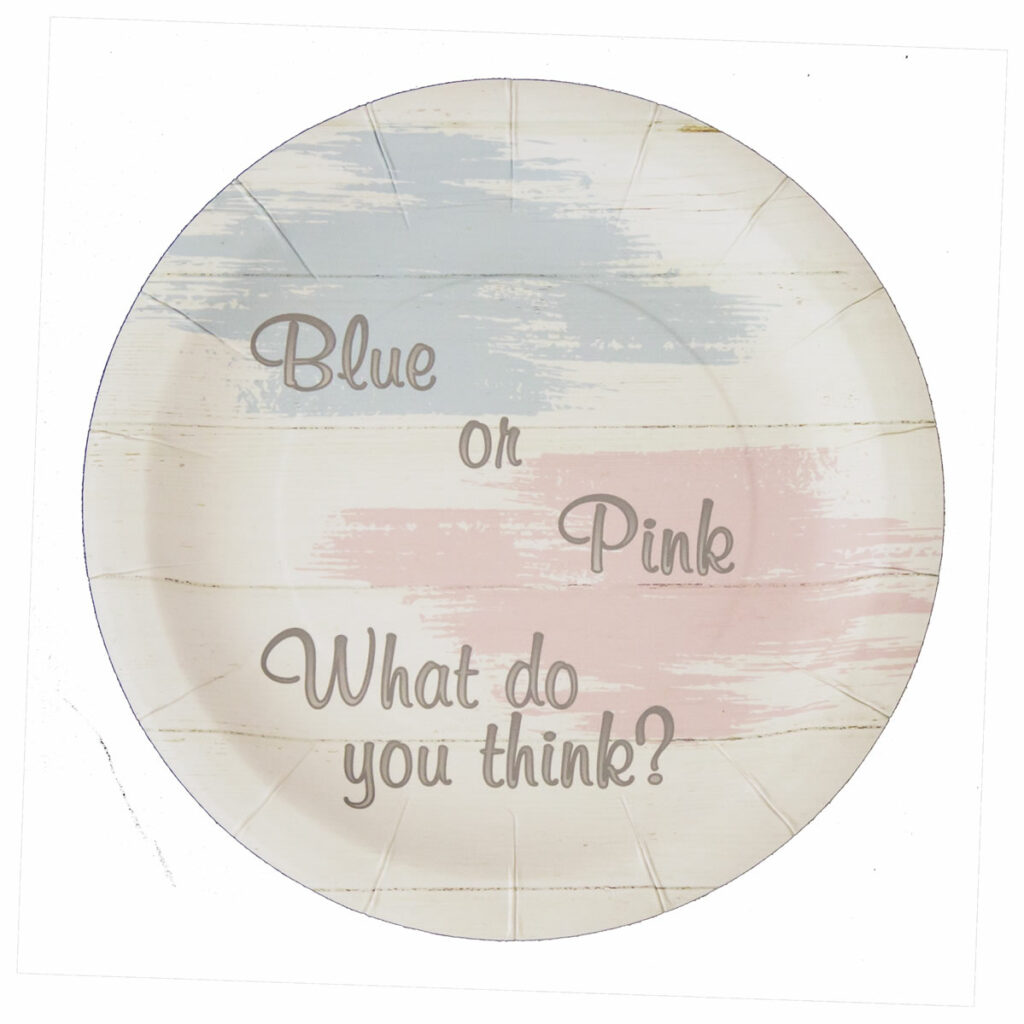 Gender Reveal – Plates Round 9″ “Blue or Pink?” 8-pack – Havercamp ...